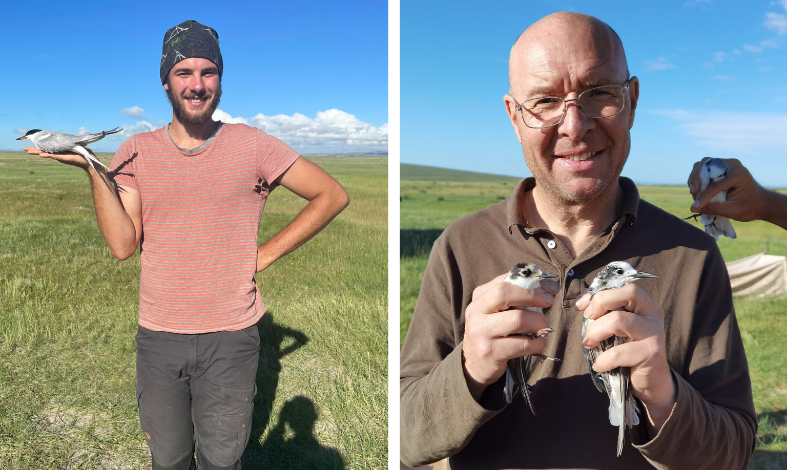 Ringing Wading Birds in Mongolia with Matt Prior: Diaries (Part 1 ...